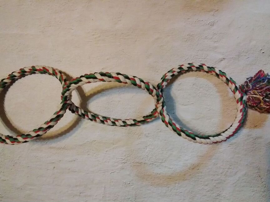 Кольца для попугая