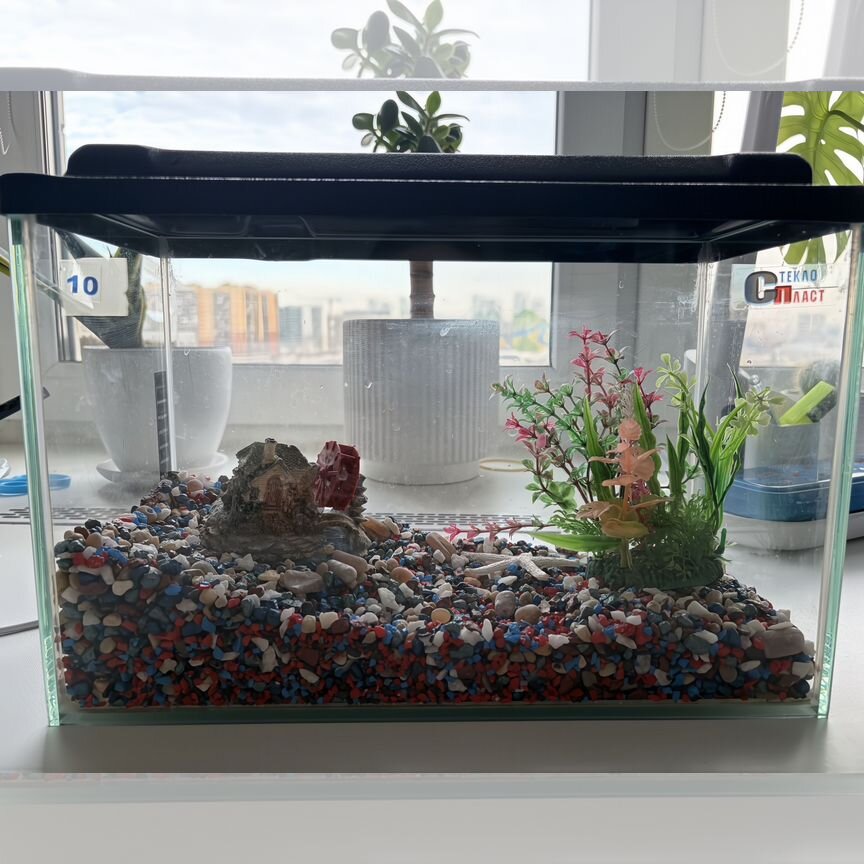 Аквариум 10 литров