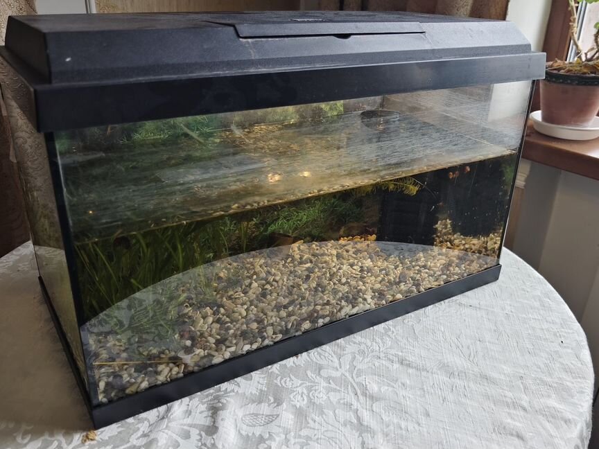 Аквариум juwel 80 литров