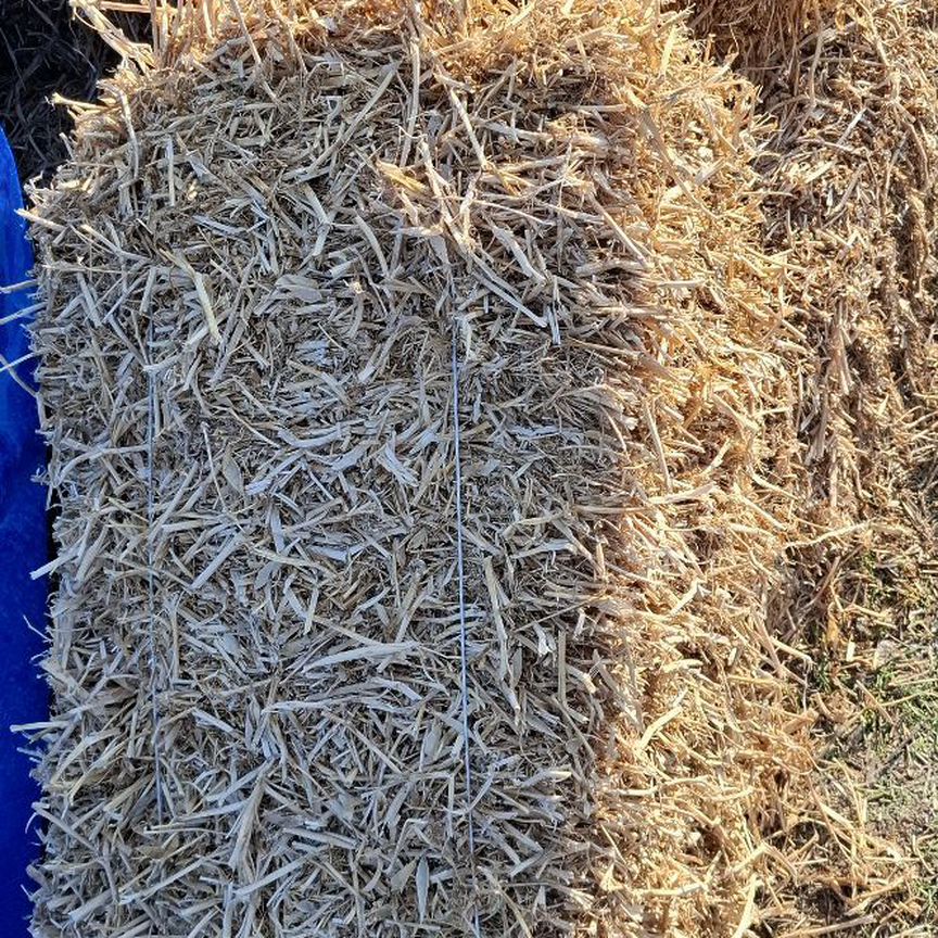 Солома гороховая