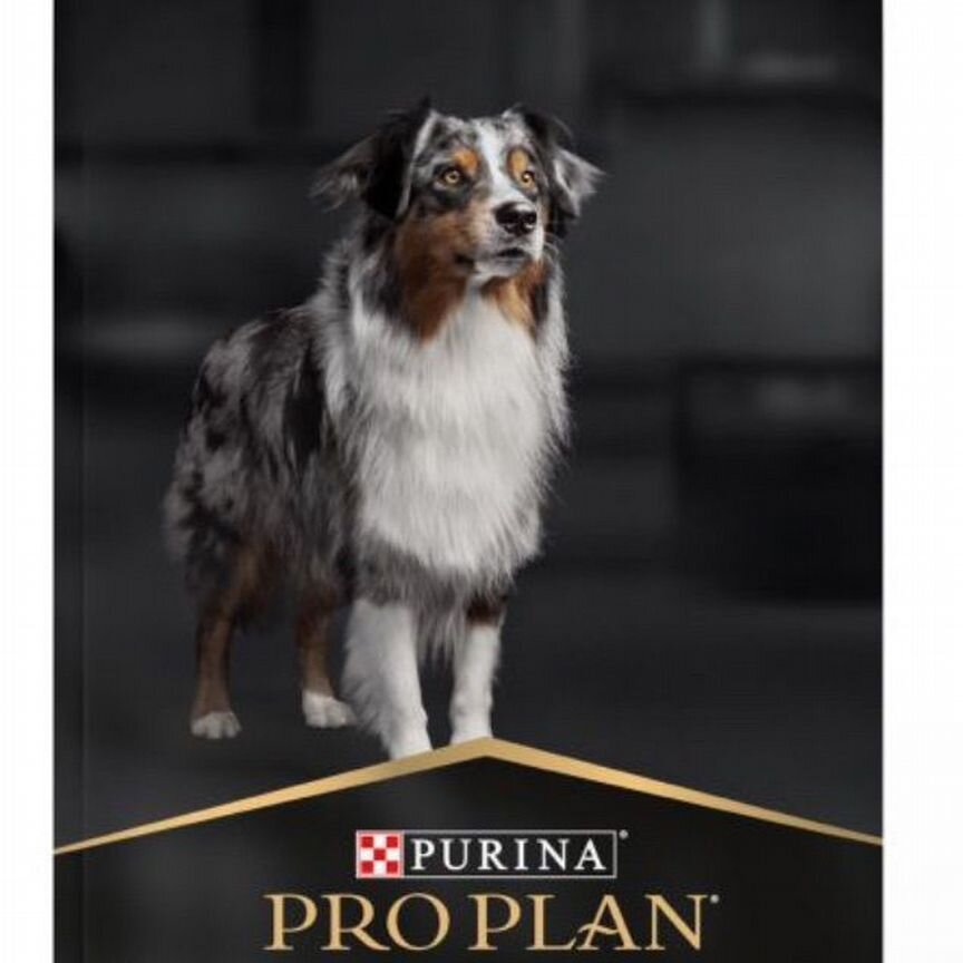 Продам корм Pro Plan