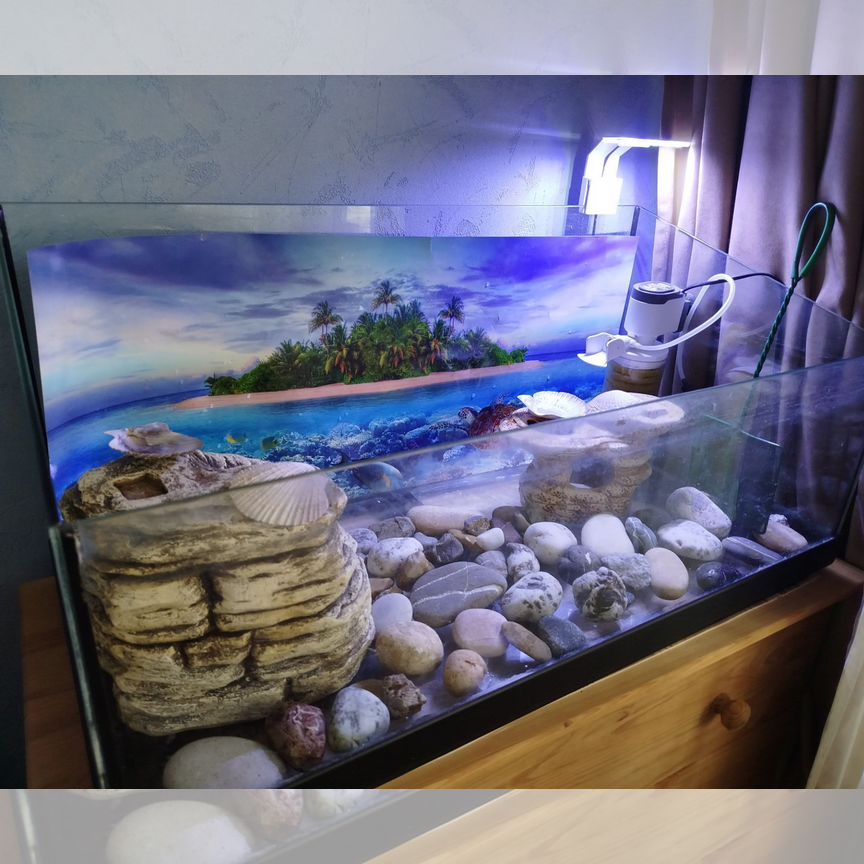 Аквариум (террариум) для красноухих черепах