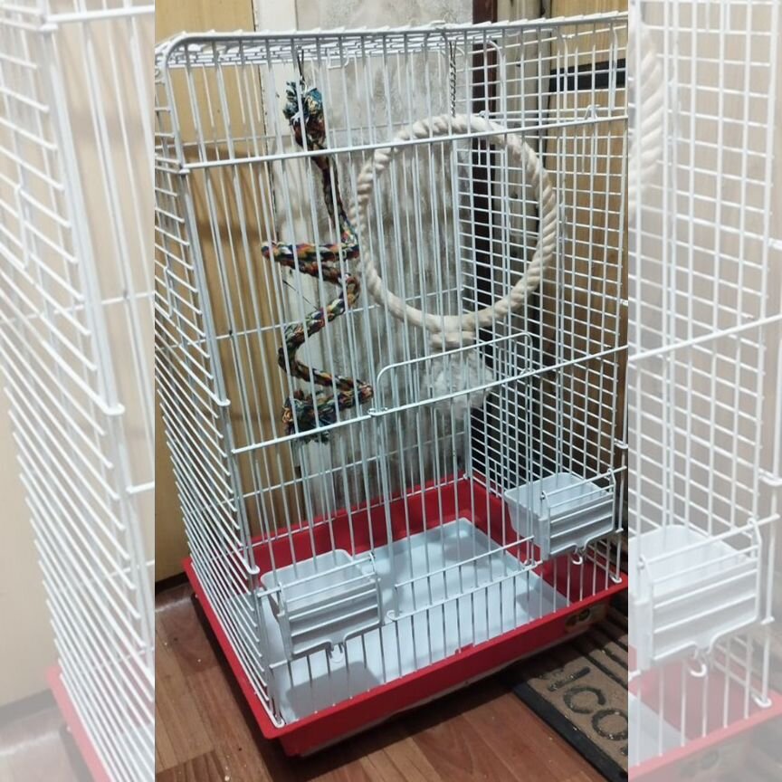 Клетка для средних и крупных попугаев большая