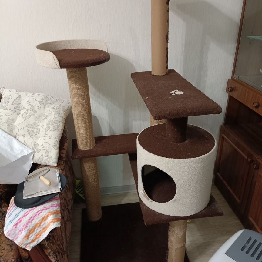 Большой кошачий комплекс, заказной