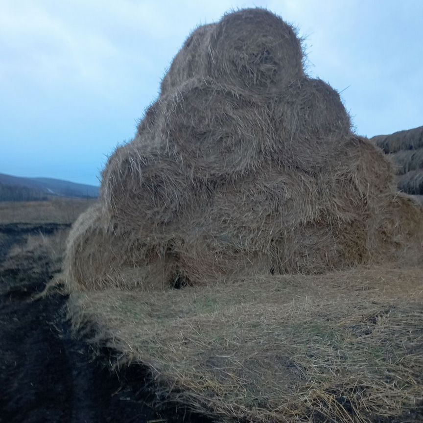 Солома в тюках