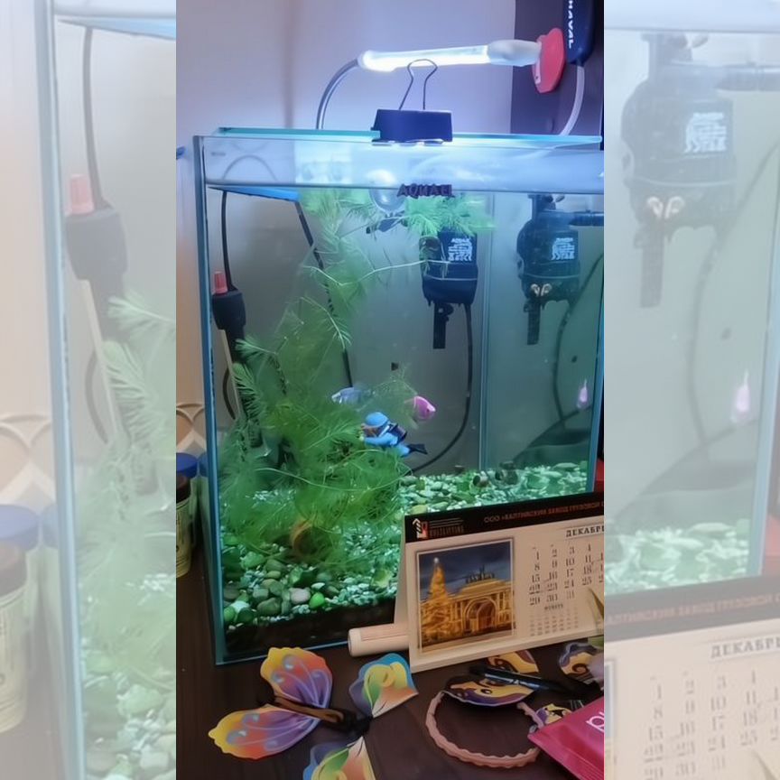 Аквариум с рыбками и всем оборудованием