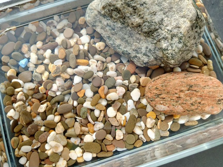 Грунт и камень островок для красноухой черепахи