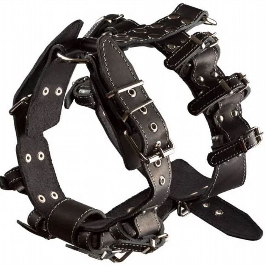 Шлейка для собак кожаная с грузами