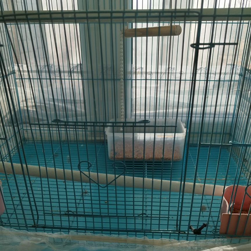 Клетка для попугая большая