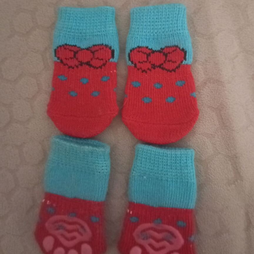 Носочки для чихуахуа