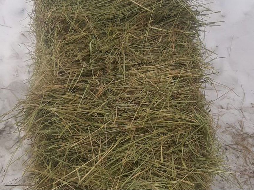 Сено луговое, солома
