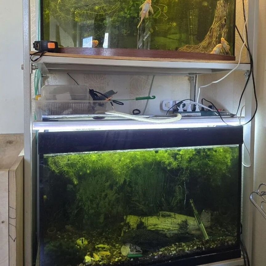 Аквариум со всеми компонентами