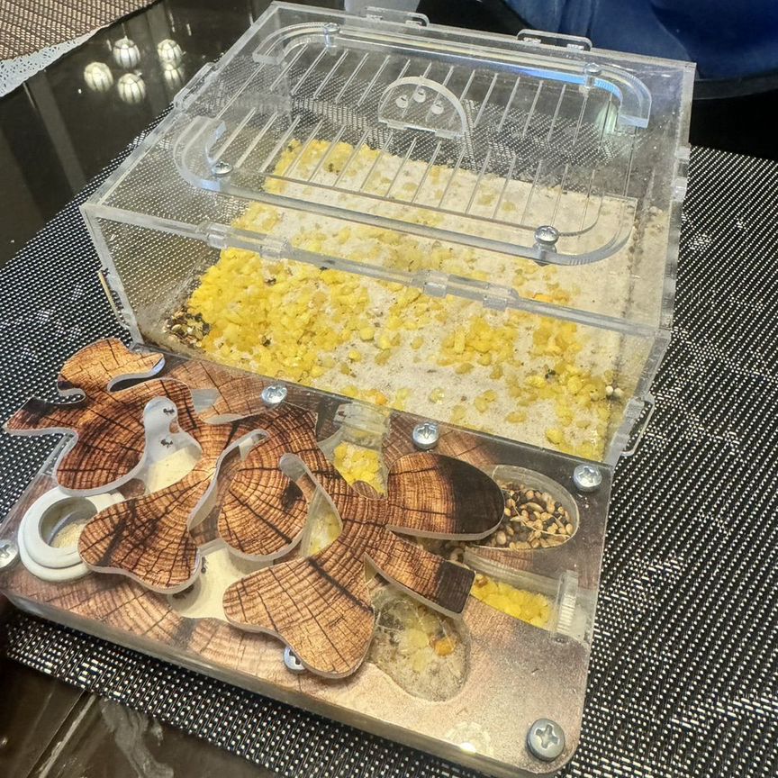 Террариум для муравьев