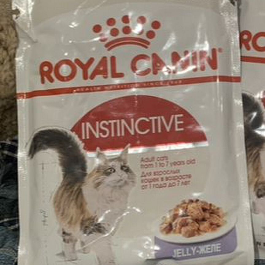 Влажный корм для кошек royal canin
