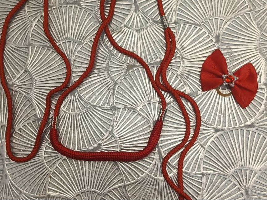 Ринговка для собак