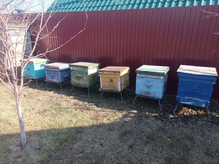 Улей для пчел бу