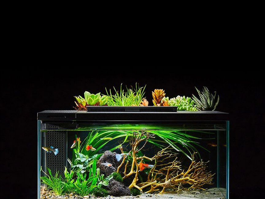 Умный аквариум xiaomi