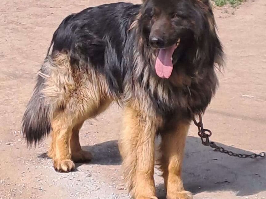 Приглашаем на вязку Н.О