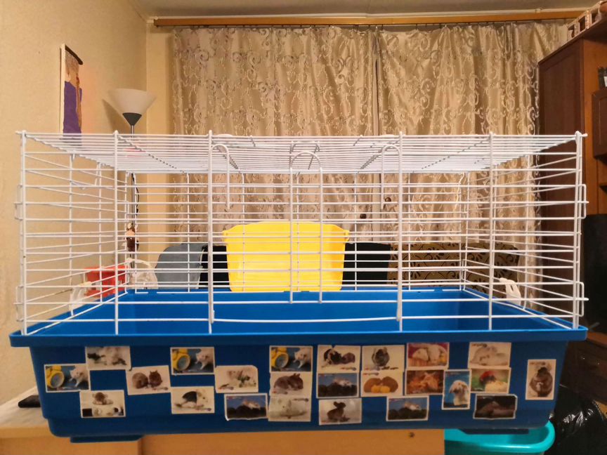 Клетка для грызунов большая