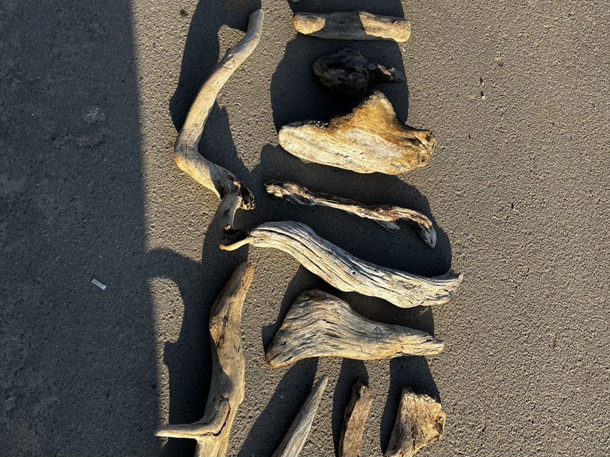 Коряги морские для аквариума