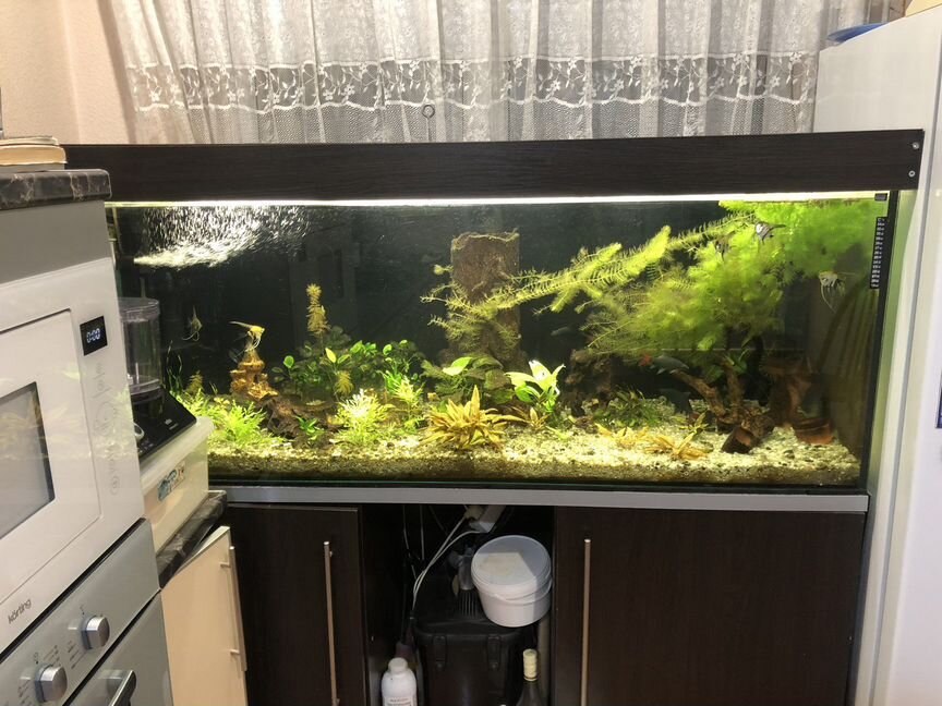 Аквариум с тумбой 600л