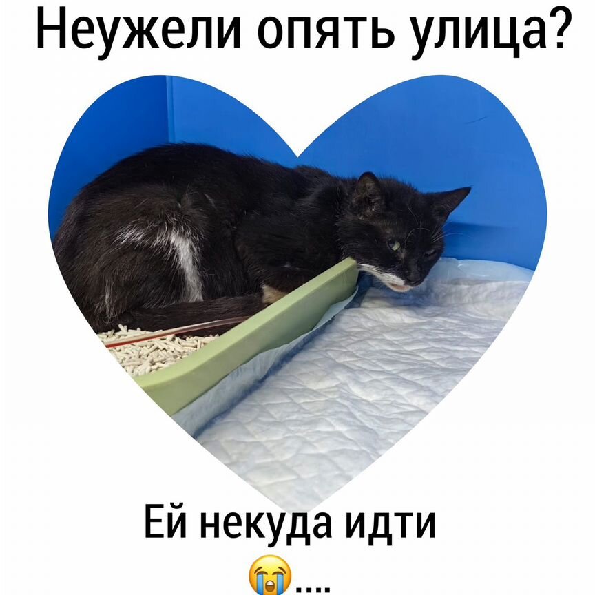 Ее отравили, спасли и снова тот двор и опасность