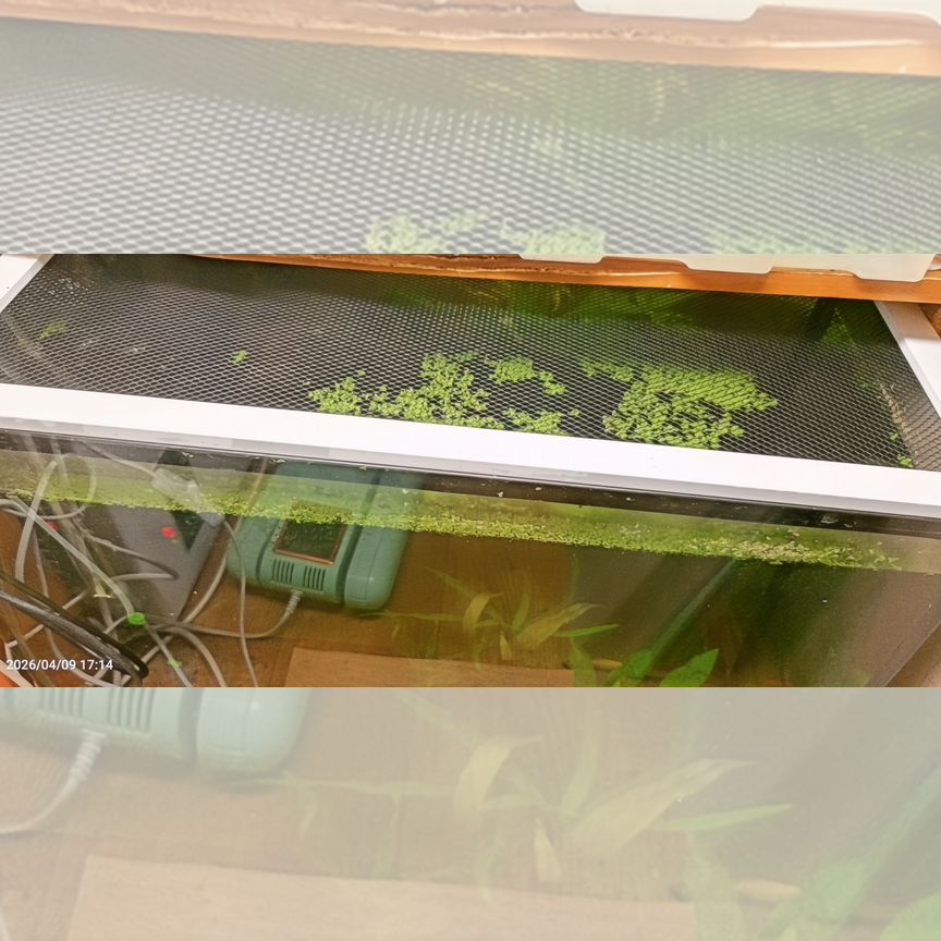 Защитная сетка от выпрыгивания рыбок из аквариума