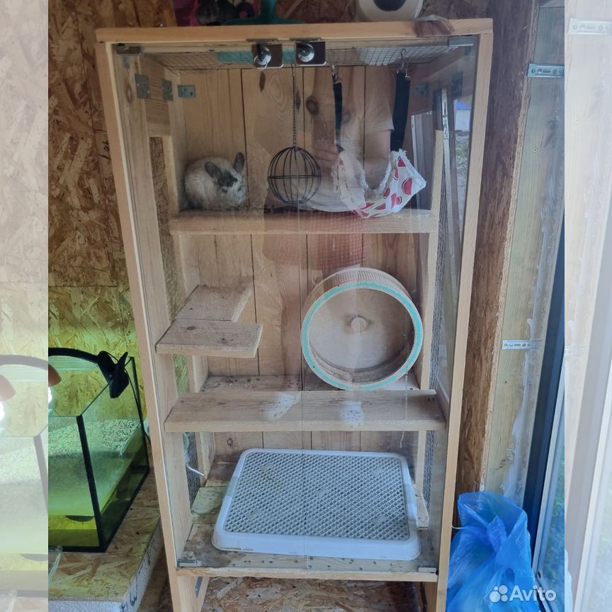 Домик для шиншиллы с шиншиллой