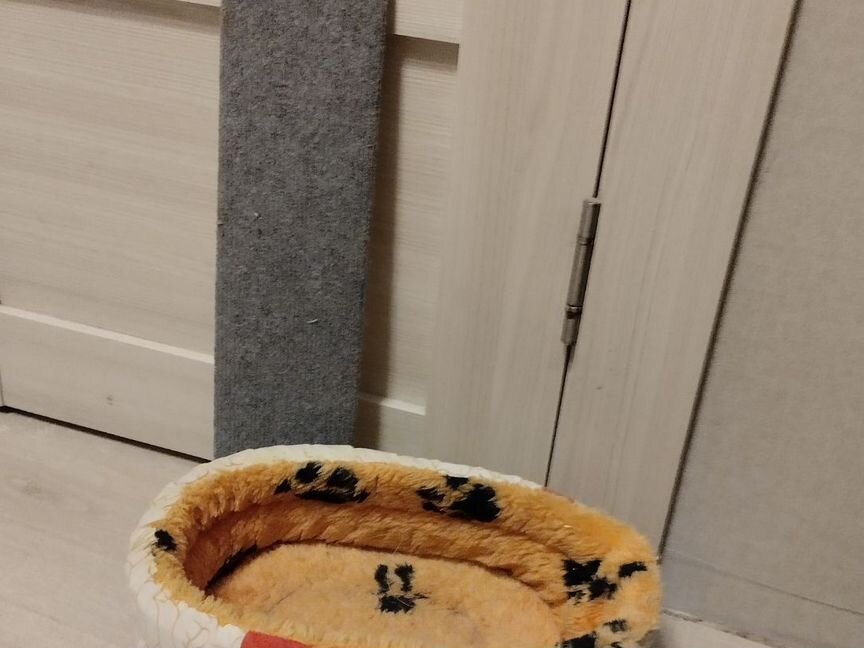 Лежанка для кошки и когтеточка