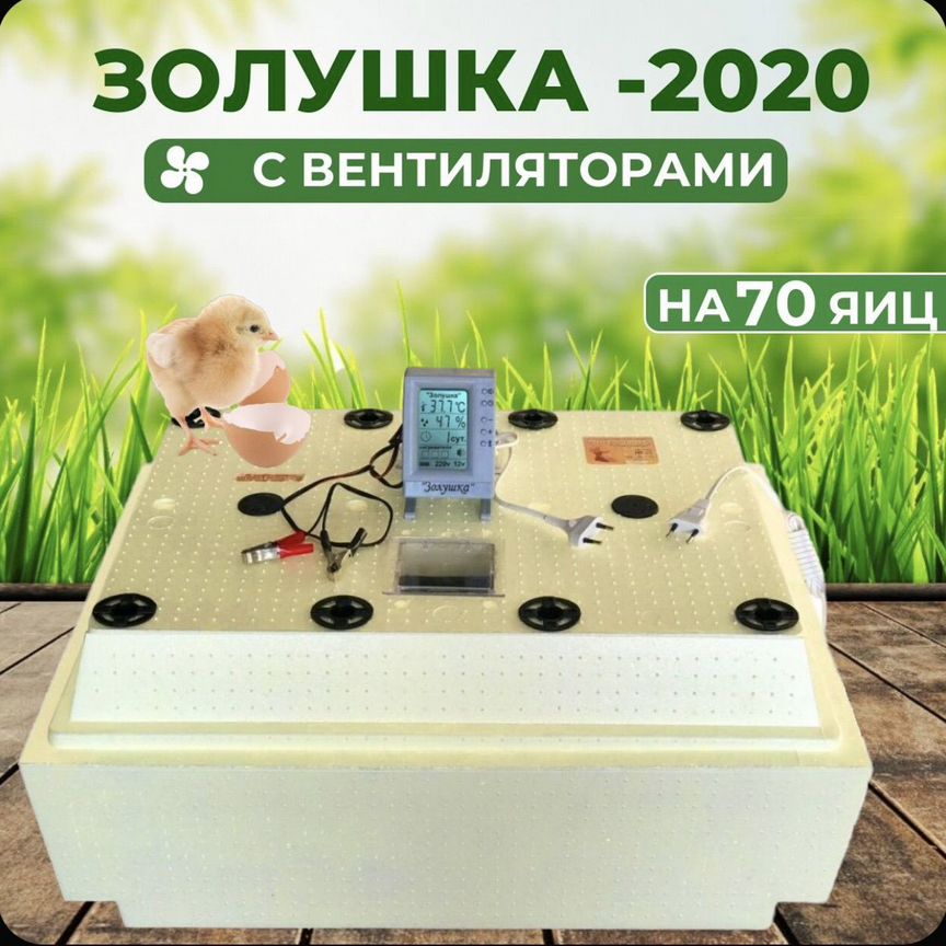 Инкубатор Золушка-2020