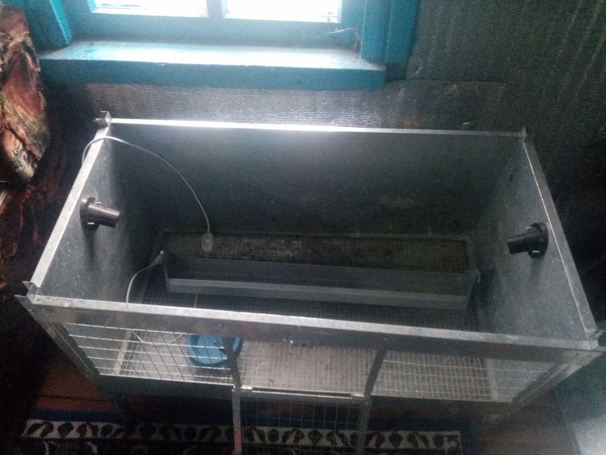 Брудер для цыплят