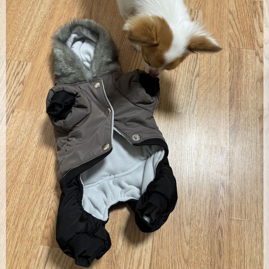 Одежда для собак