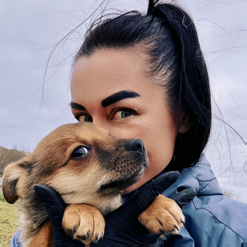 Щенок в добрые руки