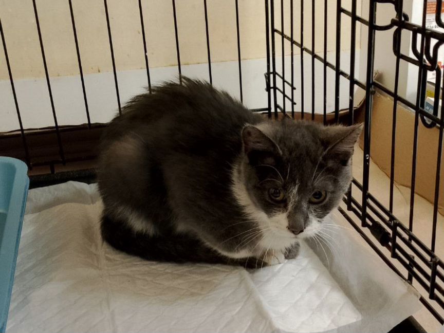 Одинокий малыш