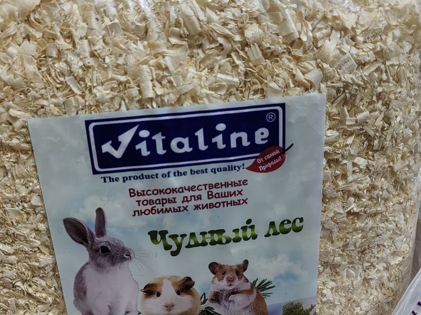 Отдам немного счастья для Вашей крыски