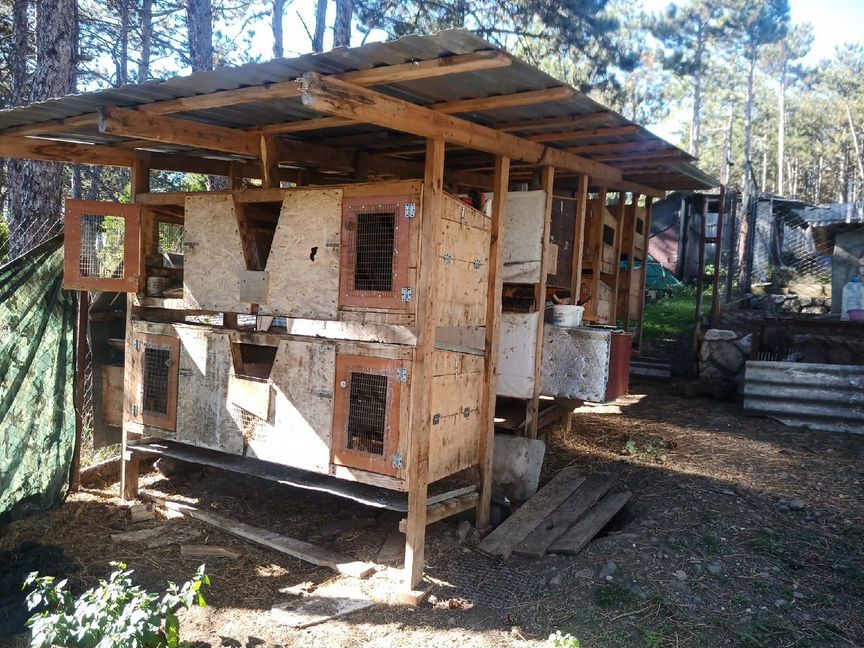 Клетки для кролей