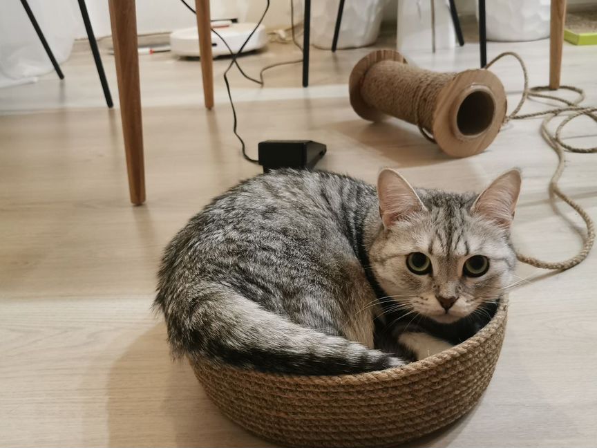 Лежанка, корзина, гнездо из джута для кошек(котов)