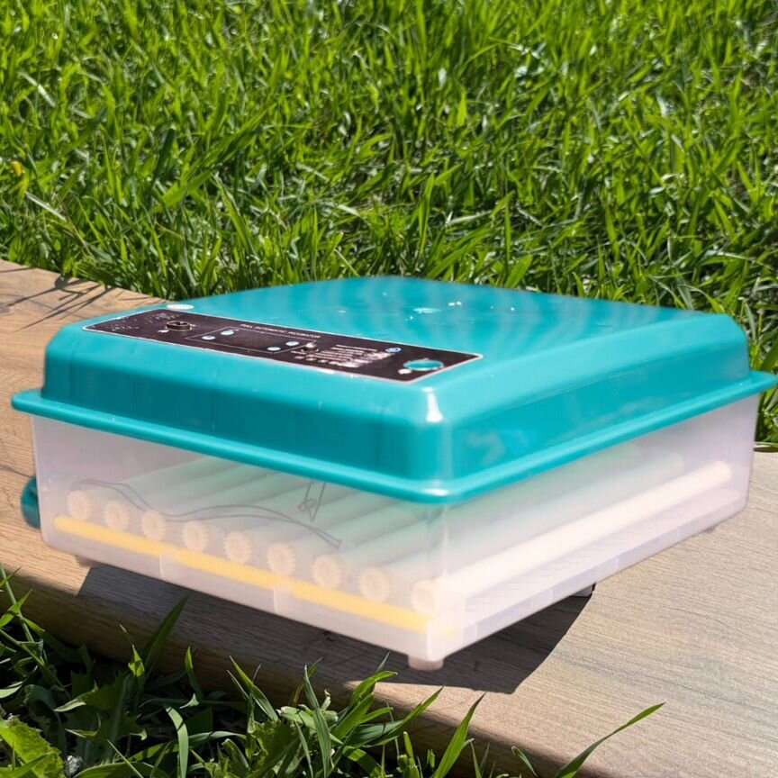 Инкубатор на любой бюджет и запрос