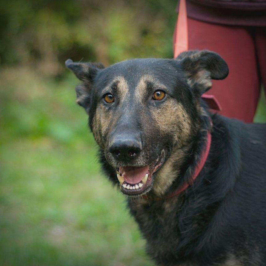 Добрый парень