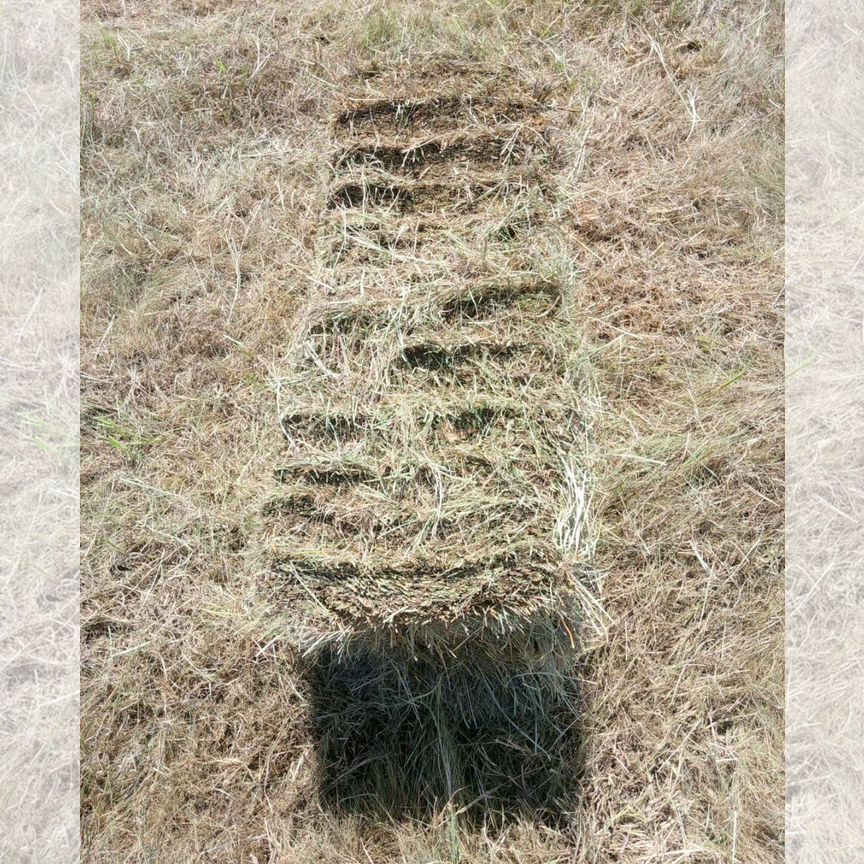 Солома и сено в тюках