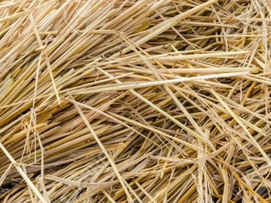 Солома для животных-грызунов