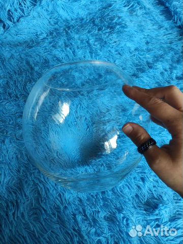 Стеклянная ваза или аквариум