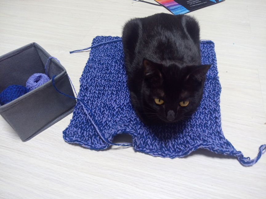 Плед для кошки