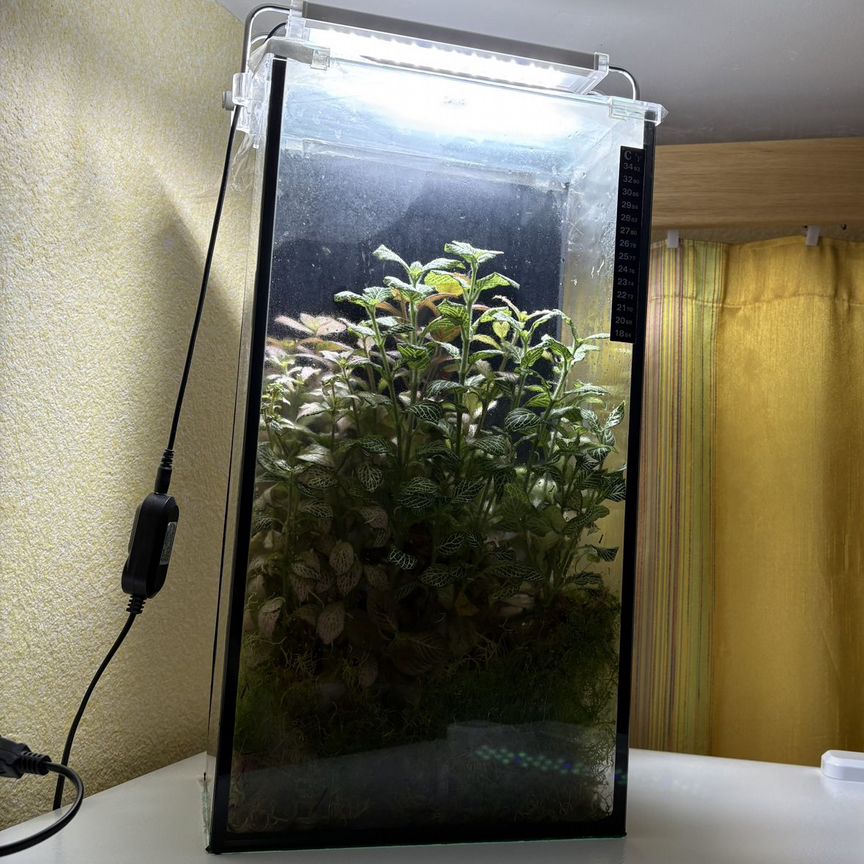 Аквариум 20 литров, флорариум, тепличка