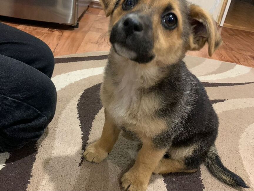 Малышку выкинули нелюди