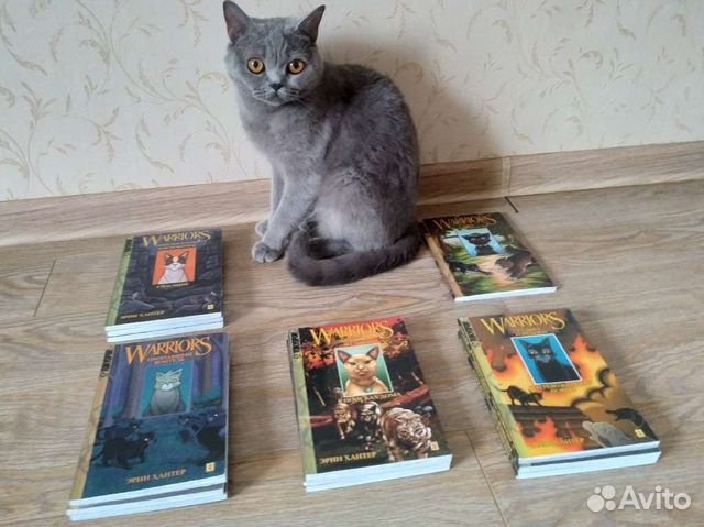 Редкая манга из серии «Коты-Воители» в идеальном состоянии. ПРОДАЕТСЯ ...