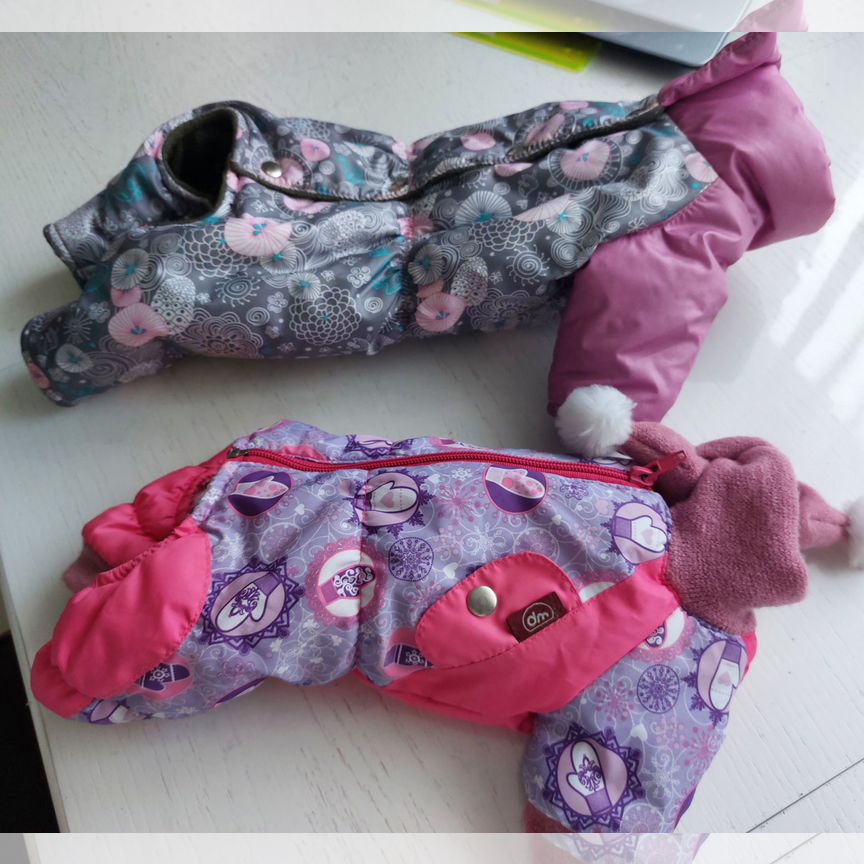 Как новые одежда и ошейник собачке