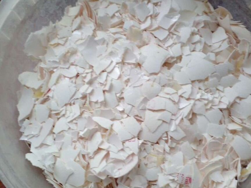 Яичная скорлупа