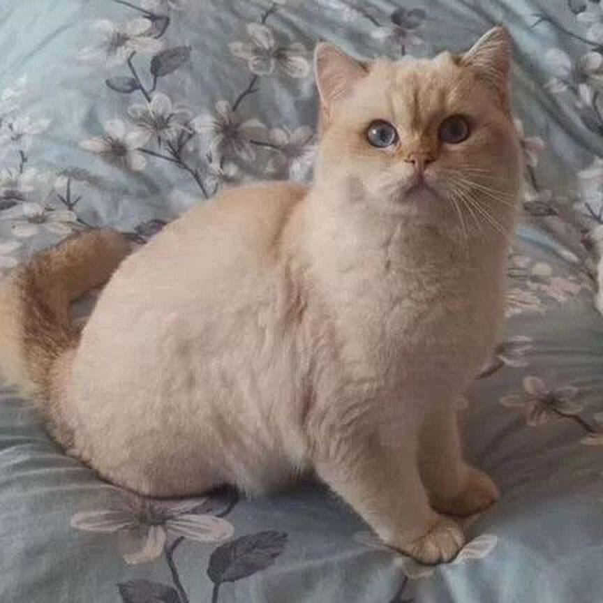 Мальчик ny1133