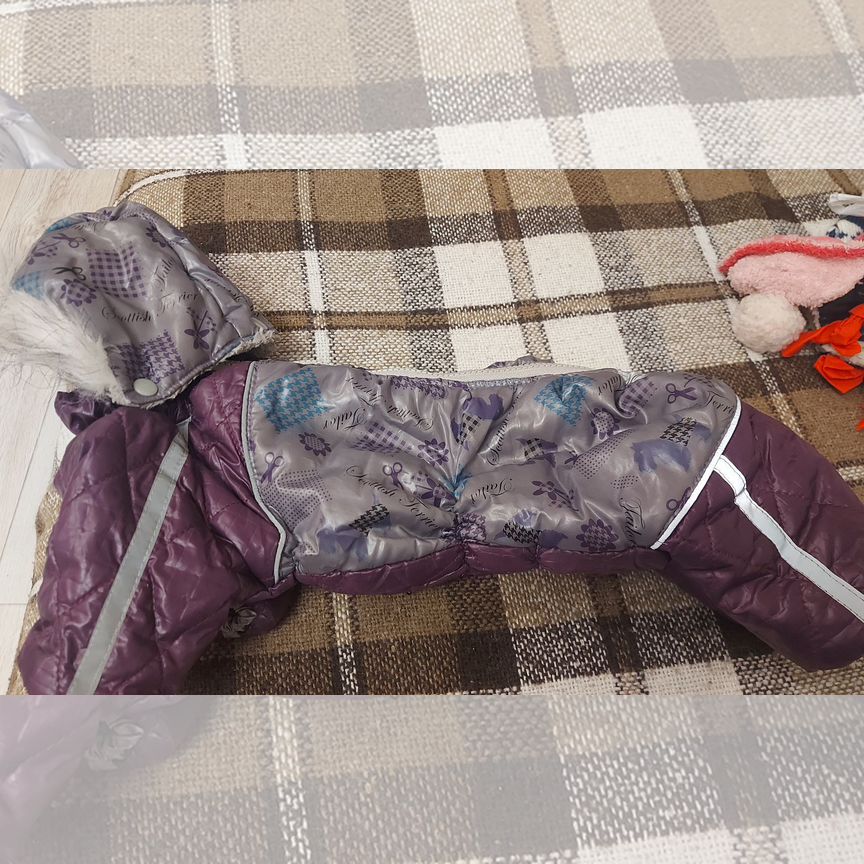 Одежда для маленьких собак бу